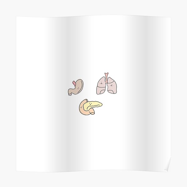 "Cute Anatomy organs Lung, Pancreas, Stomach" Poster for Sale by MIMI ...