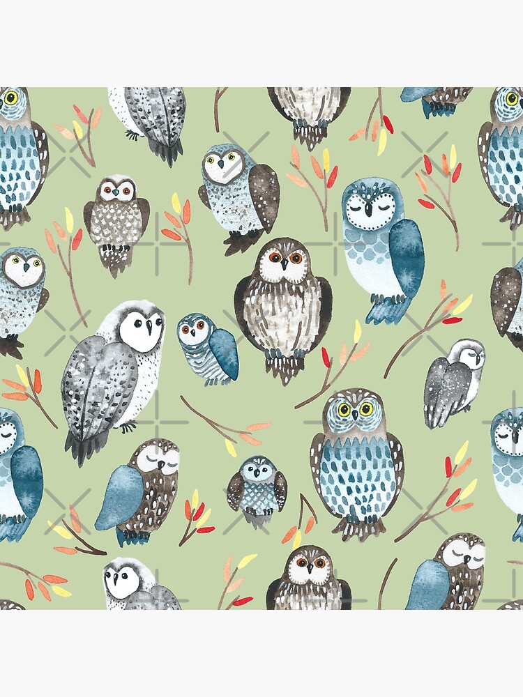 "Cute woodland owls pattern - green background" Poster for Sale by ...
