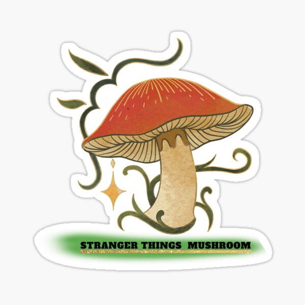"Stranger Things Mushroom, Stranger Things 2022, Karabash Fashion ...