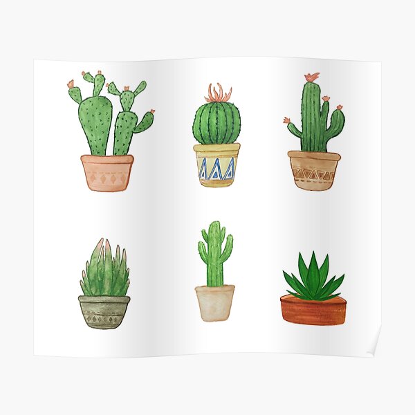 "Cacti" Poster for Sale by Ralph-shop | Redbubble