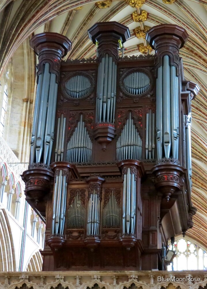"Voice of Thunder - Exeter Cathedral Organ Pipes" by BlueMoonRose ...