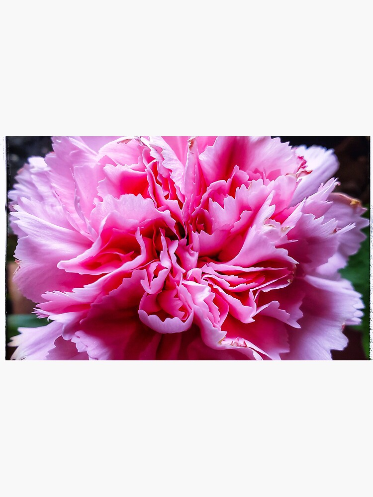 "Call me Pink" Coffee Mug for Sale by bobewing | Redbubble