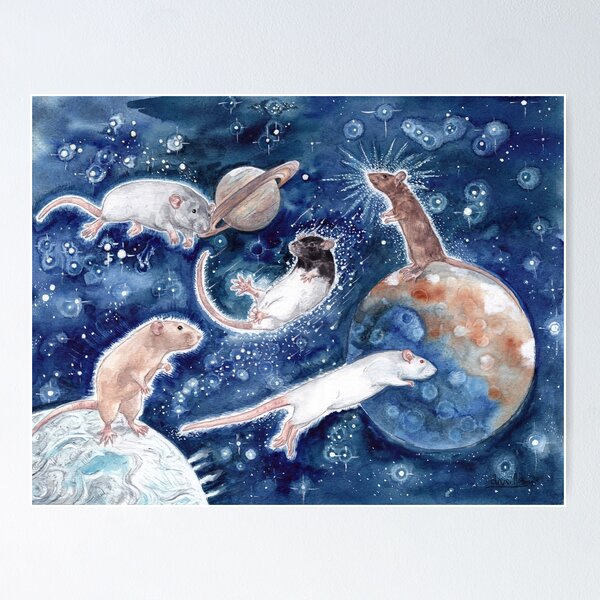 "Rats are Stars Spelled Backwards" Poster for Sale by drusillak | Redbubble
