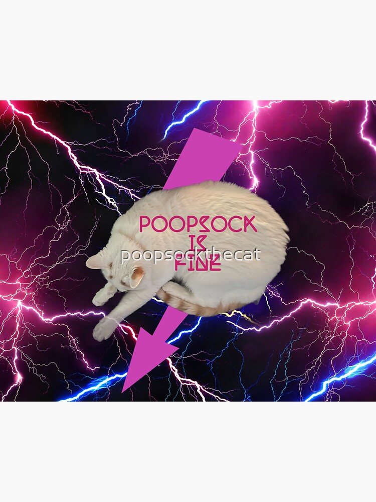 "Poopsock is Fine." Sticker for Sale by poopsockthecat | Redbubble