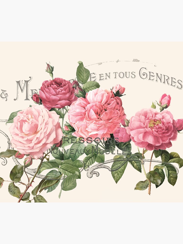 "Pink Cottage Rose" Sticker for Sale by artanlei | Redbubble