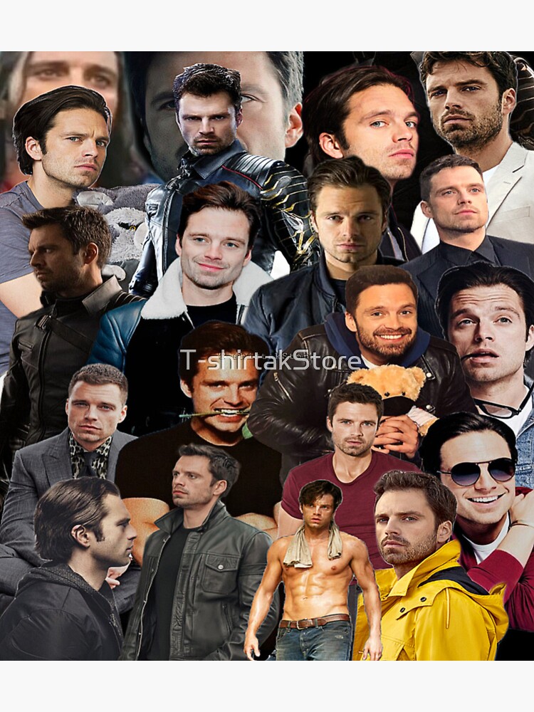 "sebastian stan photo collage" Sticker for Sale by T-shirtakStore ...