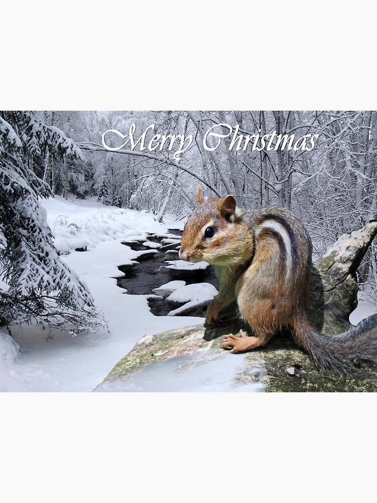 "Christmas Winter Chipmunk" Sticker for Sale by Pugwiggles | Redbubble