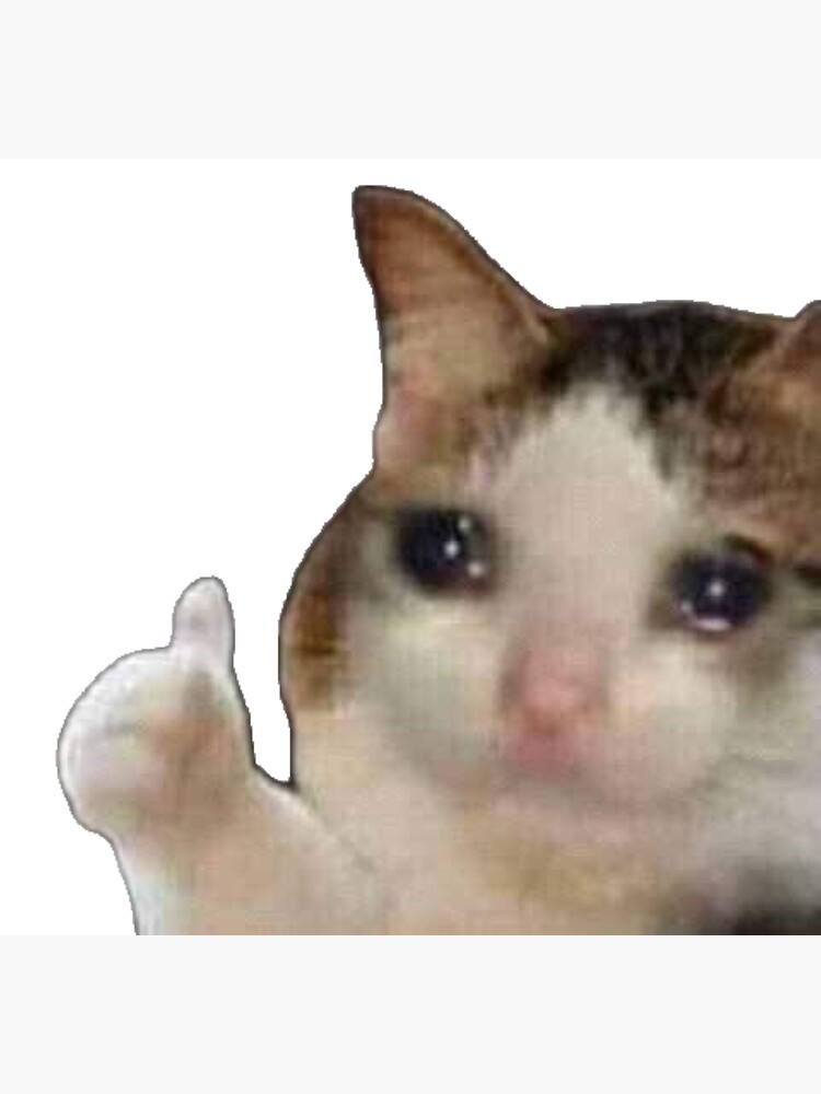 "sad cat thumbs up - meme" Poster for Sale by pusla | Redbubble