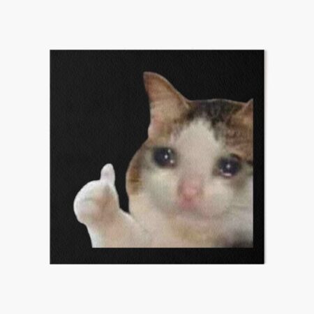 "traurige katze daumen hoch - meme" Galeriedruck von pusla | Redbubble