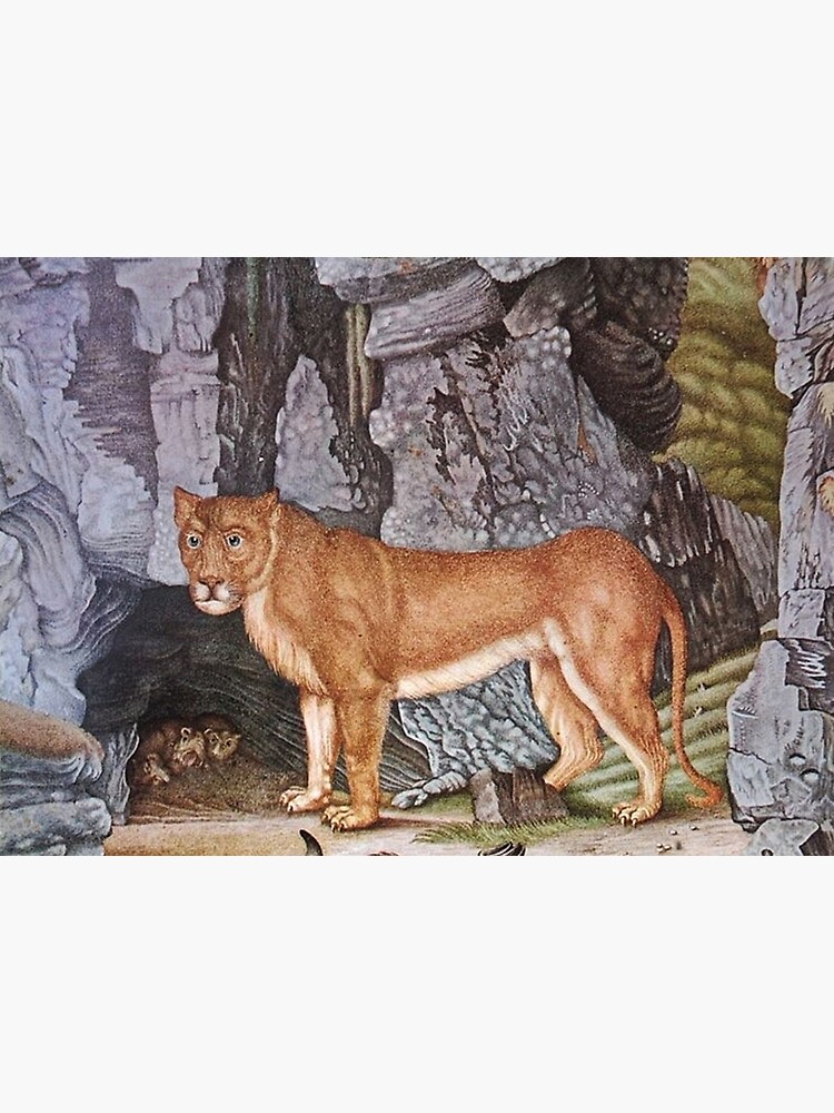 "Lioness" Poster for Sale by Crom1957 | Redbubble
