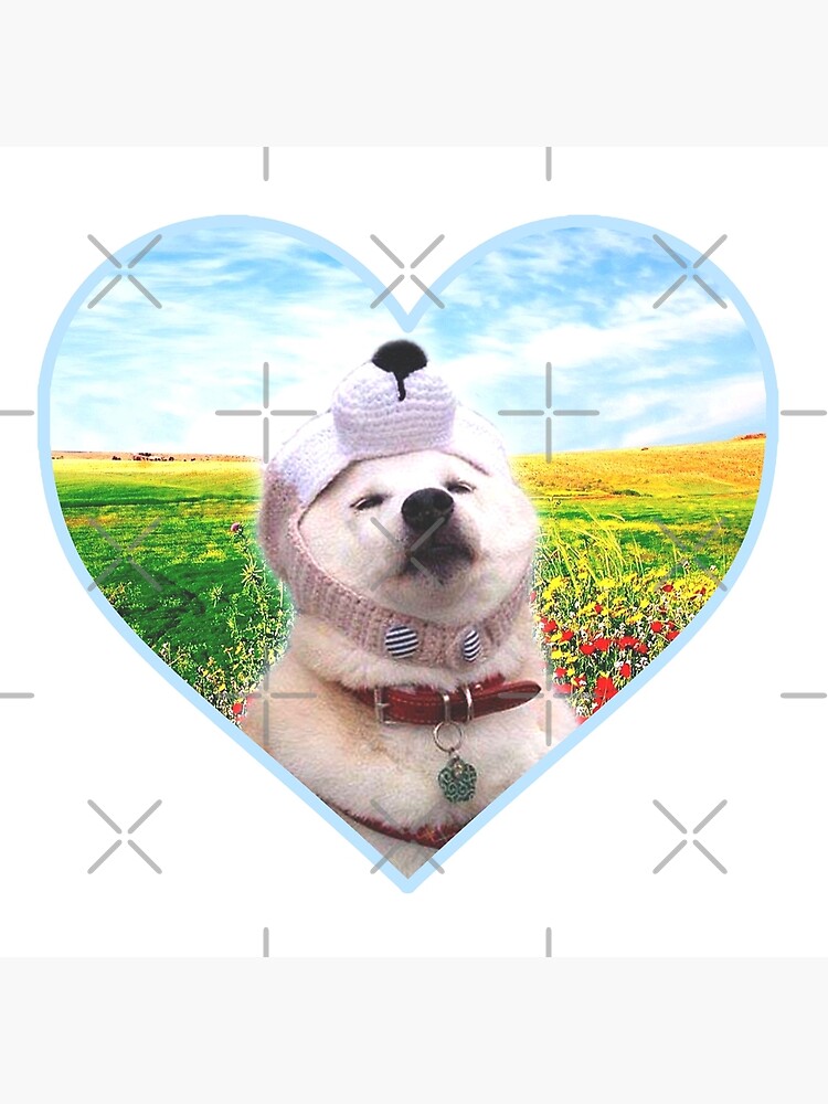 "Doggo Stickers: Majestic Doggo" Poster by Elisecv | Redbubble