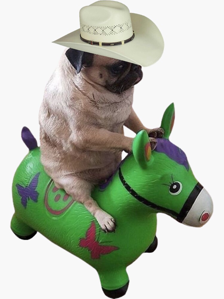 "Funny Cowboy Pug Riding Toy Horse" Sticker for Sale by M1lkslyvan ...