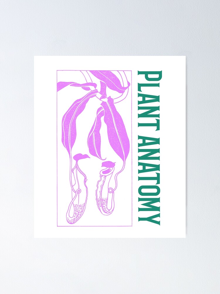 "Plant Anatomy" Poster for Sale by rizwanahmedr | Redbubble