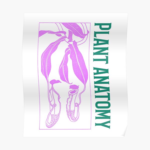 "Plant Anatomy" Poster for Sale by rizwanahmedr | Redbubble