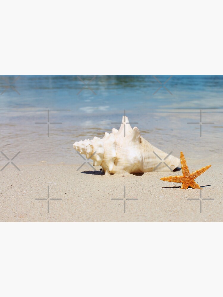 "beach conch shell starfish sand ocean background" Sticker for Sale by ...