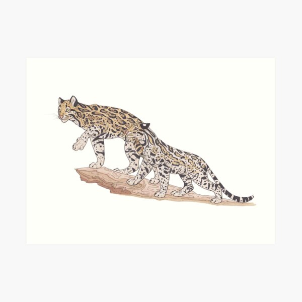 "Ocelot Pair" Art Print by T-VR | Redbubble