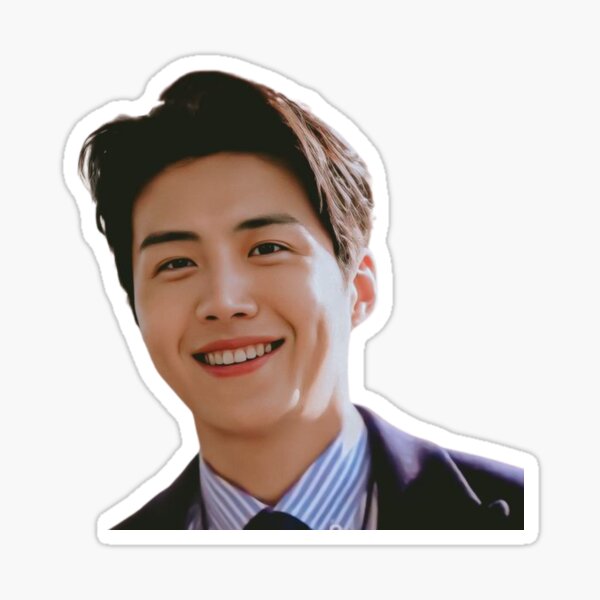 "kim seon ho" Sticker for Sale by panpan10 | Redbubble