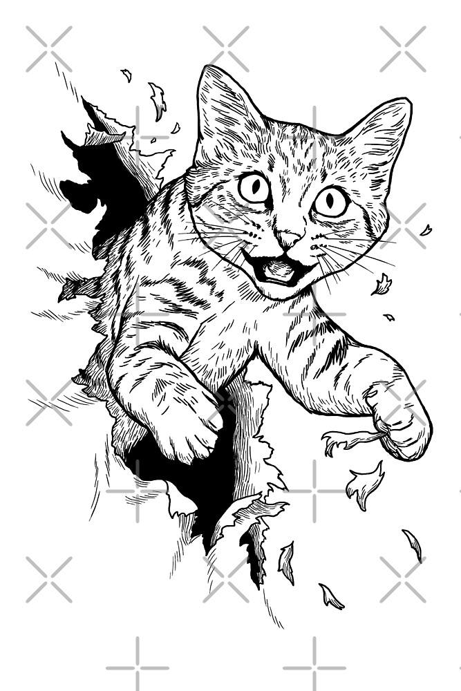 "Cat Busting Through" by designbydinny | Redbubble