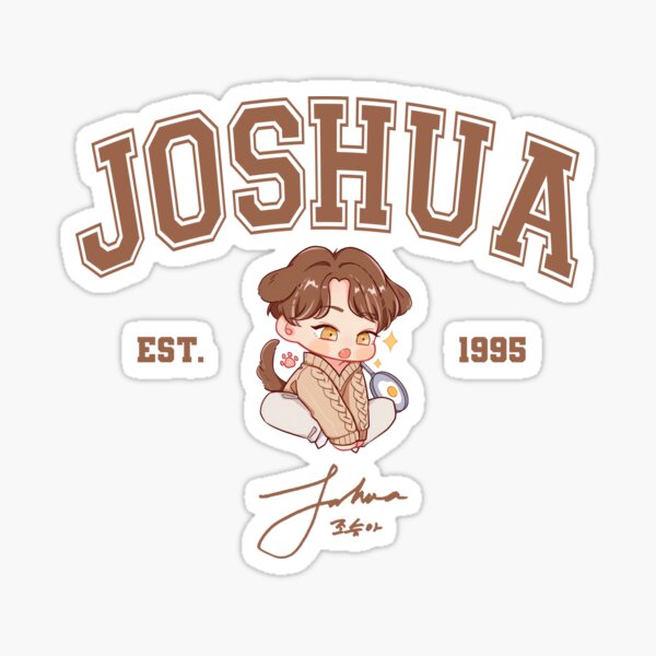 "JOSHUA 1995 Seventeen Members Shirt, Seventeen Member Shirt, Seventeen ...