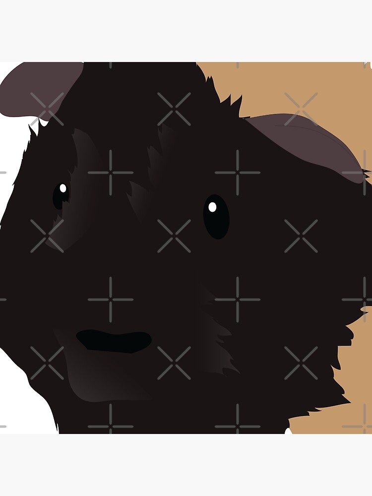 "Guinea Pig Portrait - Mog" Poster for Sale by Nicole-Eldridge | Redbubble