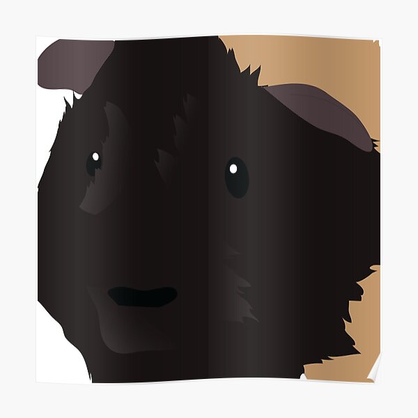 "Guinea Pig Portrait - Mog" Poster for Sale by Nicole-Eldridge | Redbubble