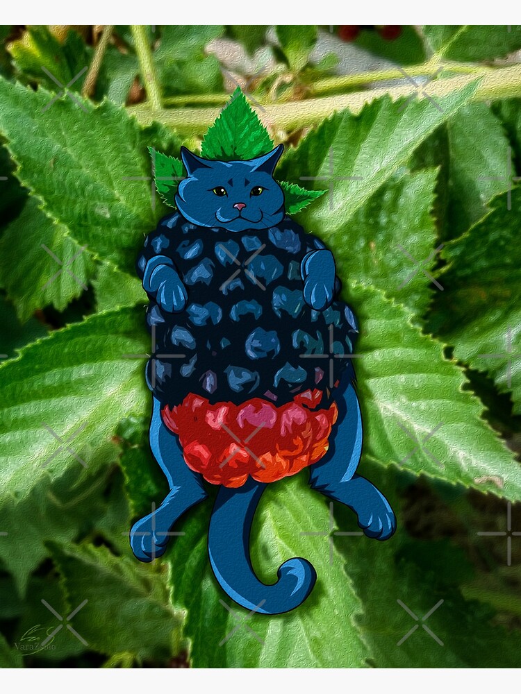 "Blueberry Cat" Poster for Sale by VaraZsolo | Redbubble