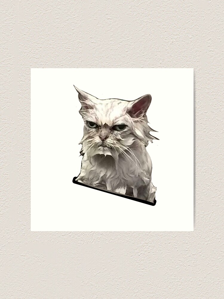 "Frown Wet Cat Meme" Art Print for Sale by Artposeit | Redbubble