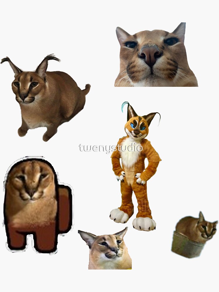 "Floppa pack" Sticker for Sale by twenystudio | Redbubble