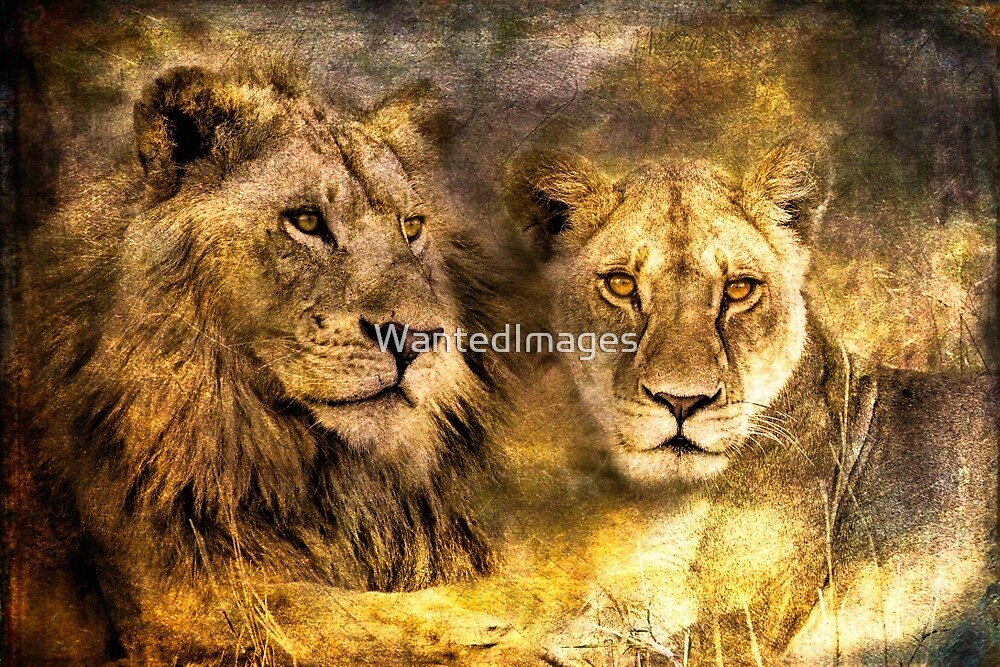 "Lion Texture" by WantedImages | Redbubble