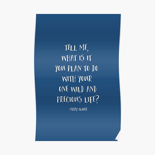 Tell Me What Is It You Plan To Do With Your One Wild And Precious Life
