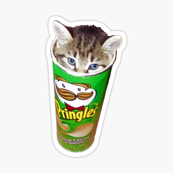 "cute cat in pringles packaging" Sticker for Sale by pusla | Redbubble