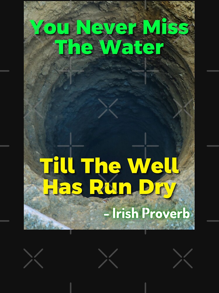 "Irish Proverb - You Never Miss The Water Till The Well Has Run Dry " T ...