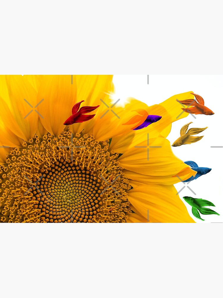 "Sunflower betta fish petals" Art Print for Sale by composeink | Redbubble