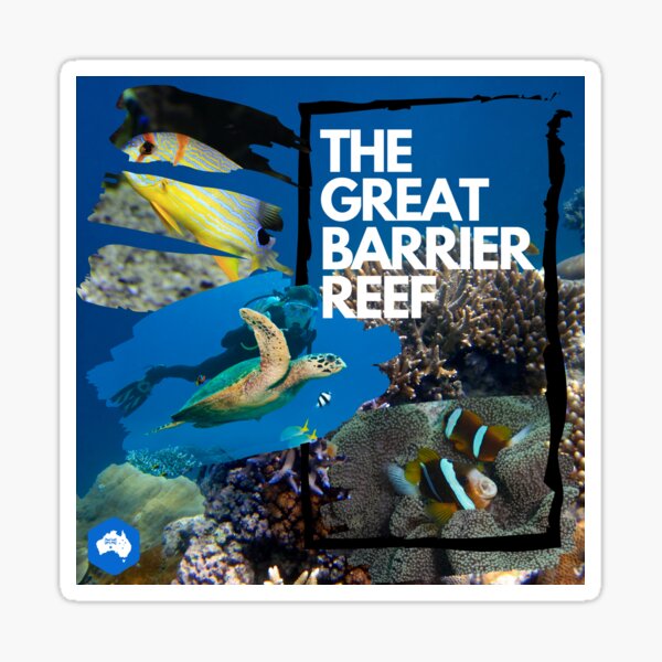 "The Great Barrier Reef Photo Decal" Sticker for Sale by Dekal | Redbubble