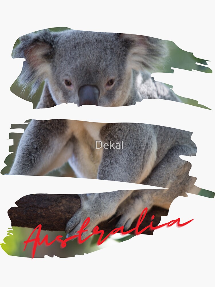 "Australia Koala Decal" Sticker for Sale by Dekal | Redbubble