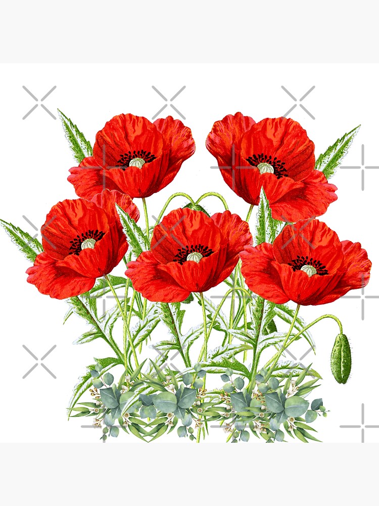 "Red Poppies" Sticker for Sale by lovehanii | Redbubble
