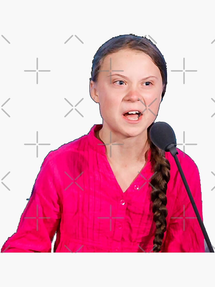 "Music Retro Greta Thunberg Funny Graphic Gift" Sticker for Sale by ...