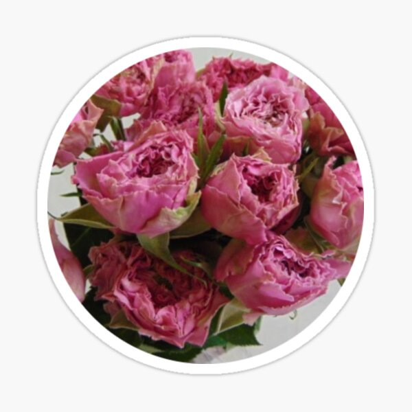 "Pink Rose 10" Sticker for Sale by CuteMaster | Redbubble