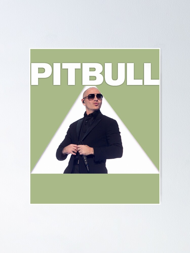 "Mr Worldwide Pitbull Rapper " Poster for Sale by EmeryBauch | Redbubble