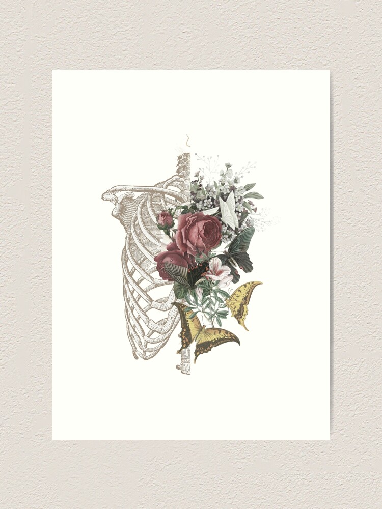 "Vintage Skeleton Torso Floral Flowers Rose Butterfly Design White ...