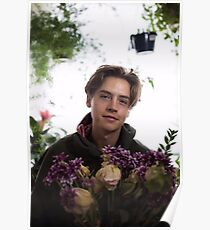 Cole Sprouse: Posters | Redbubble