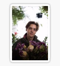 Cole Sprouse: Stickers | Redbubble