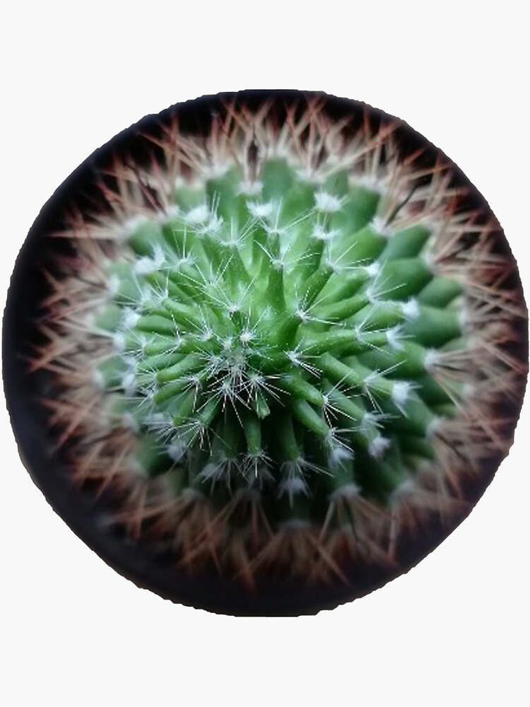 "Cactus art" Sticker for Sale by Miki-im-shop | Redbubble