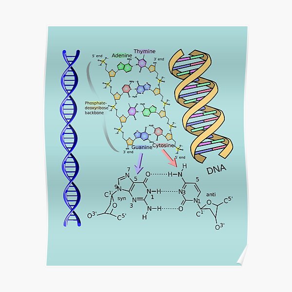 "DNA Double Helix Chemical Formula Molecules Science Art (Light ...