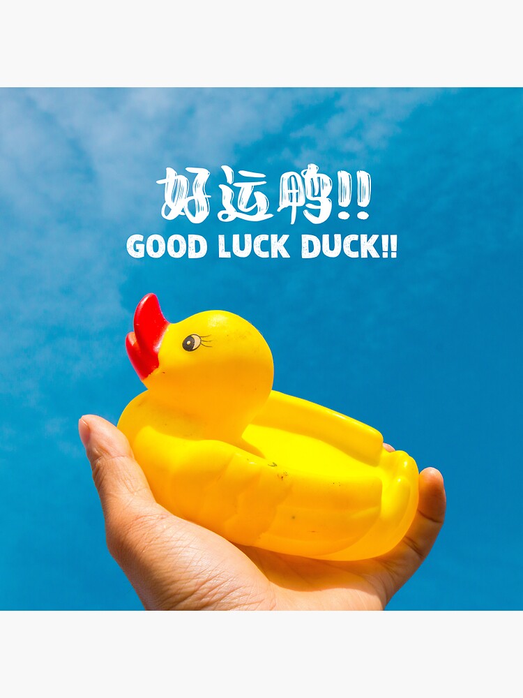 "Good Luck Duck 好运鸭 Series" Sticker for Sale by albertteoh97 | Redbubble