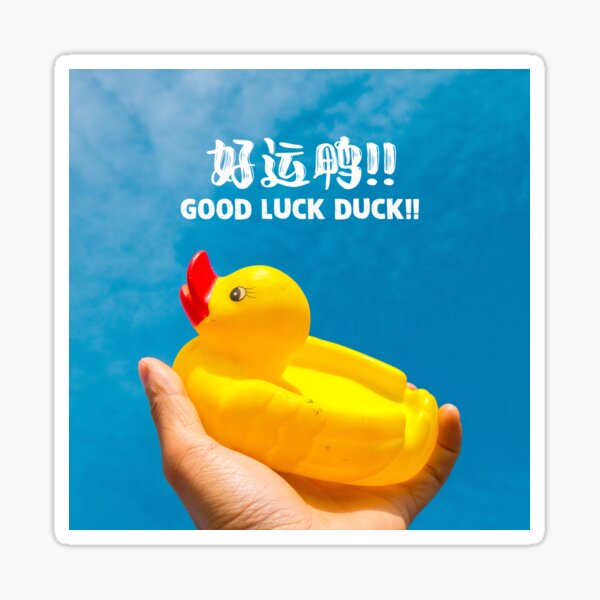 "Good Luck Duck 好运鸭 Series" Sticker for Sale by albertteoh97 | Redbubble