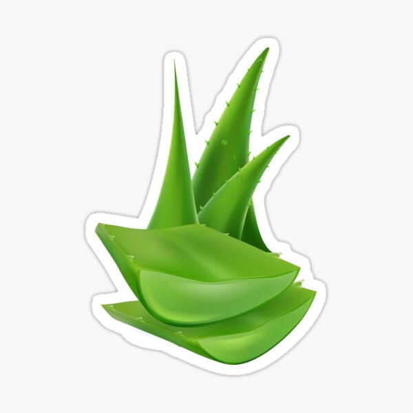 "aloe vera" Sticker for Sale by Locega | Redbubble