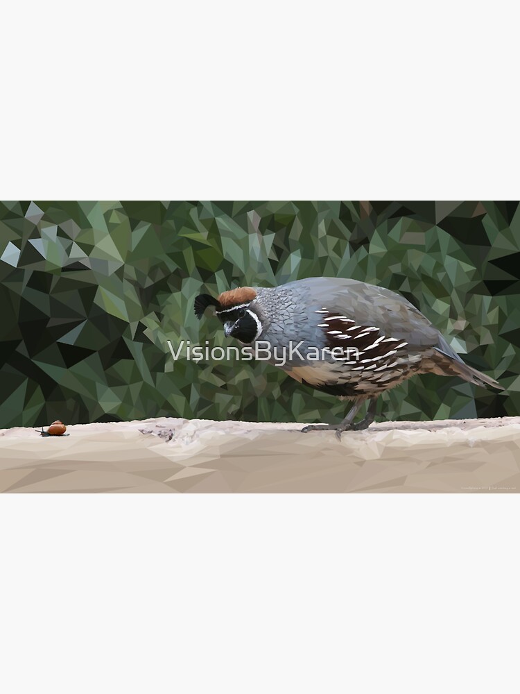 "Tessellations21 - Quail watching a snail - VBK - VisionsByKaren ...