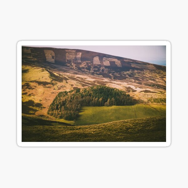 "Astonishing pine tree forest and Scottish Highlands (hills)" Sticker ...