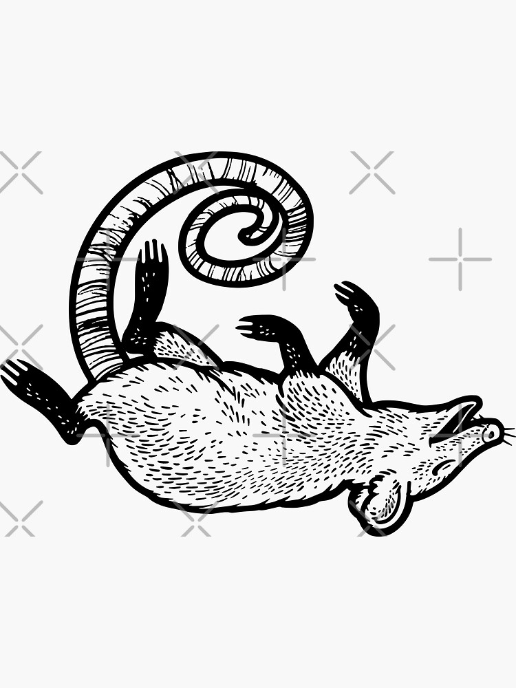 "Possum pretending dead sketch" Sticker for Sale by alexwro | Redbubble